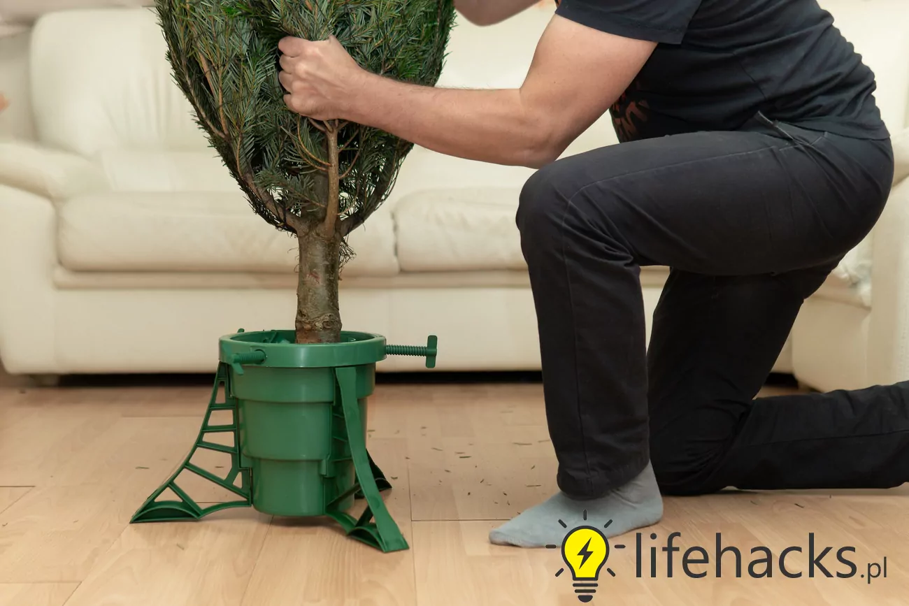 Jaki stojak na choinkę wybrać? Praktyczne porady