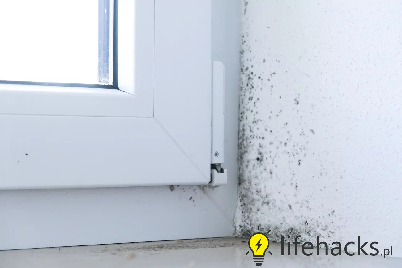 Masz ten problem na oknach i ścianach? Poznaj nasze niezawodne sposoby!